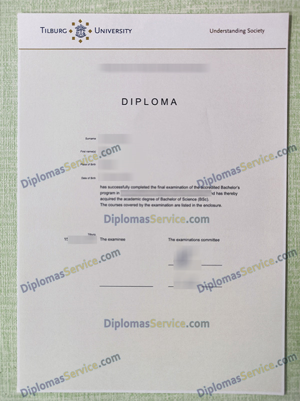 Most popular way to get a Tilburg University diploma