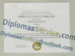 The real truth about duplicating The New School diploma